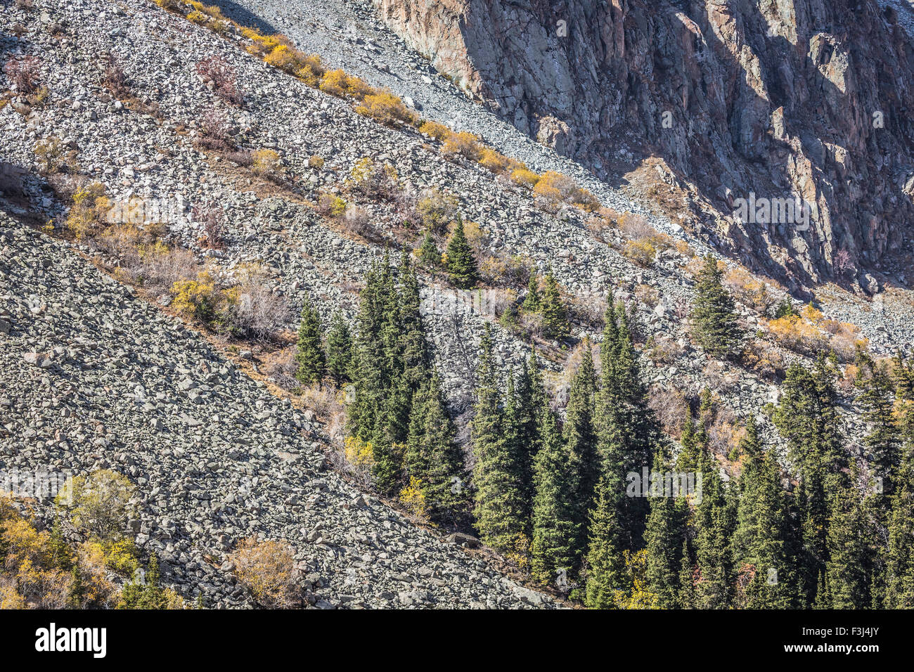 The panorama of mountain landscape of Ala-Archa gorge in the summer's ...