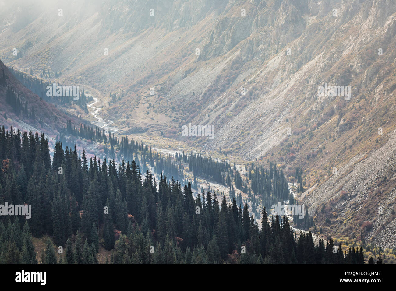 The panorama of mountain landscape of Ala-Archa gorge in the summer's ...