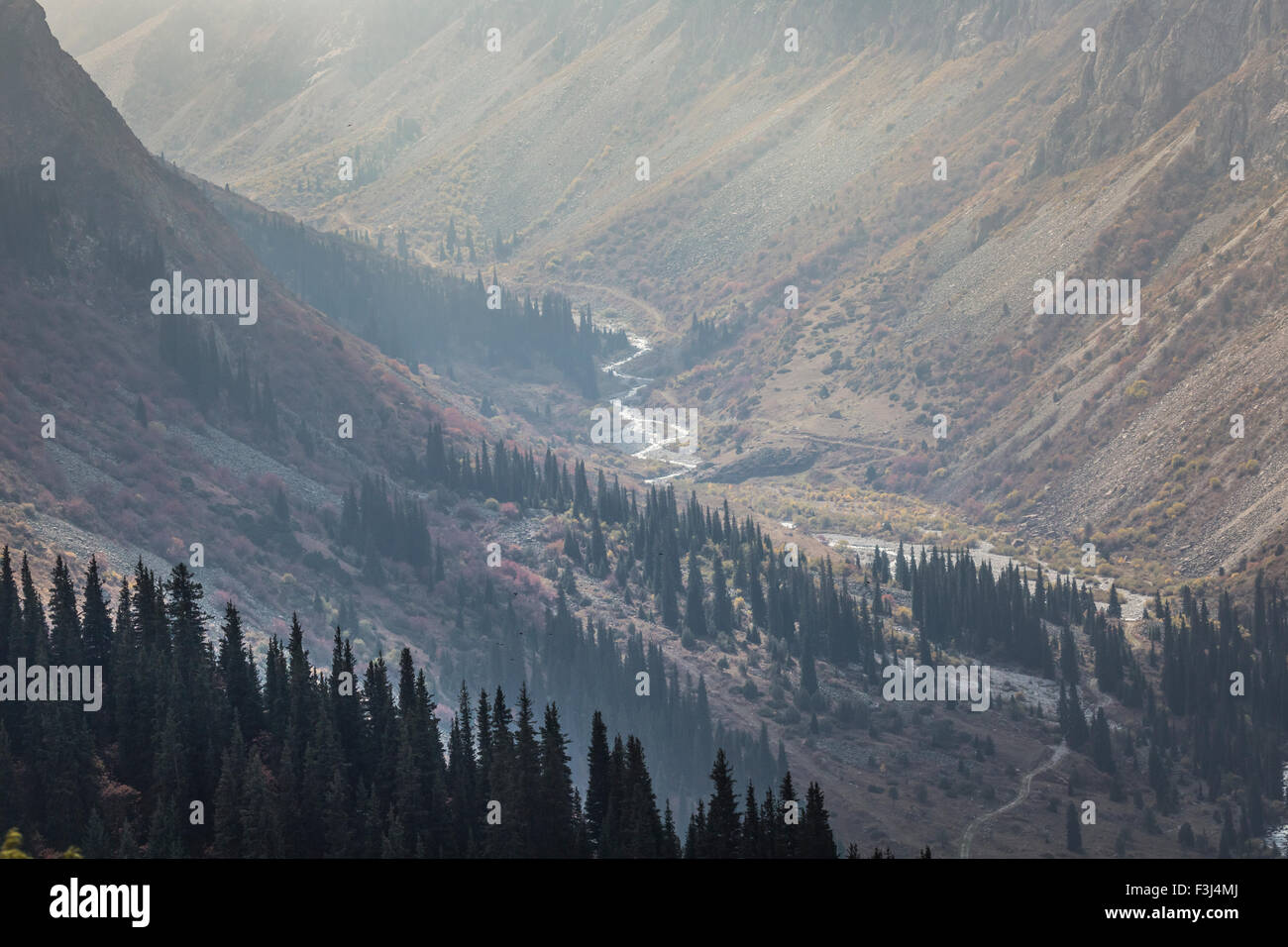 The panorama of mountain landscape of Ala-Archa gorge in the summer's ...