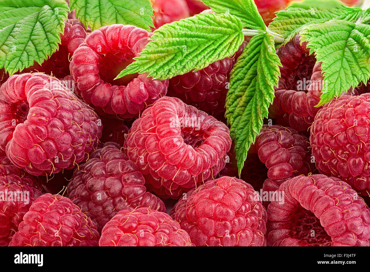 Ripe raspberries with leaves close-up as a background Stock Photo - Alamy