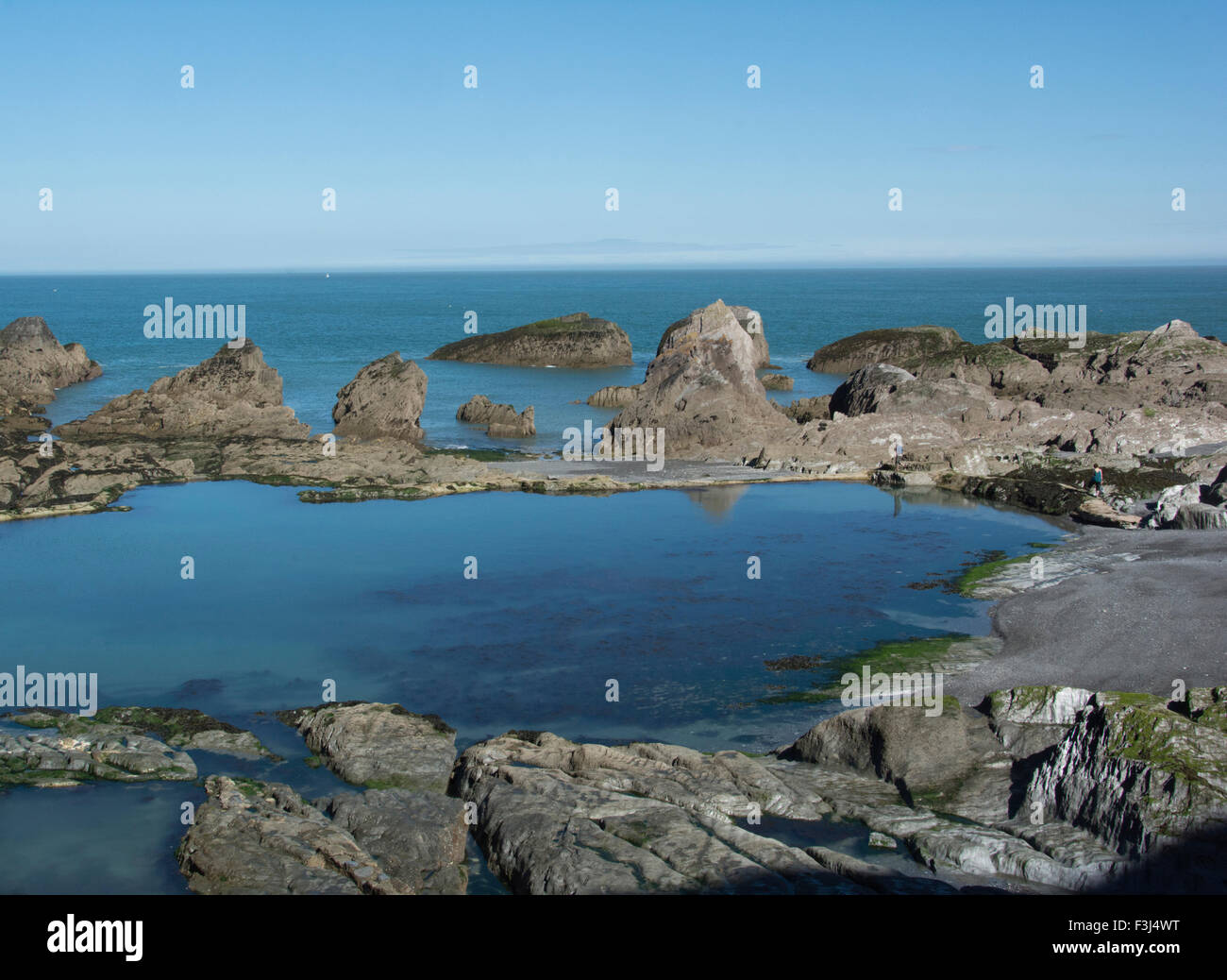 ILFRACOMBE, DEVON; ILFRACOMBE BEDROCK (Limestone, Grit, Shale Stock ...