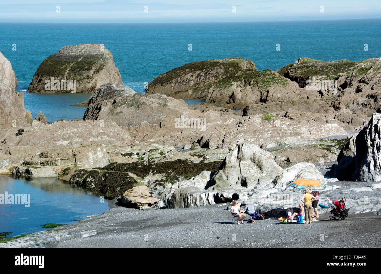 N.DEVON; ILFRACOMBE; LADIES BEACH; ILFRACOMBE BEDROCK; (Grit, Shale ...