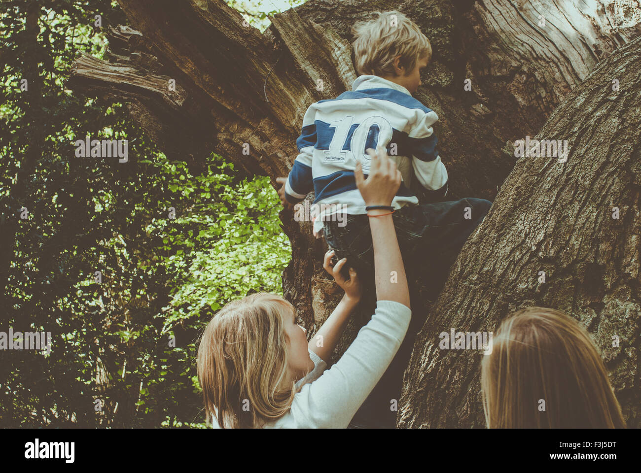 Kids helping nature hi-res stock photography and images - Alamy