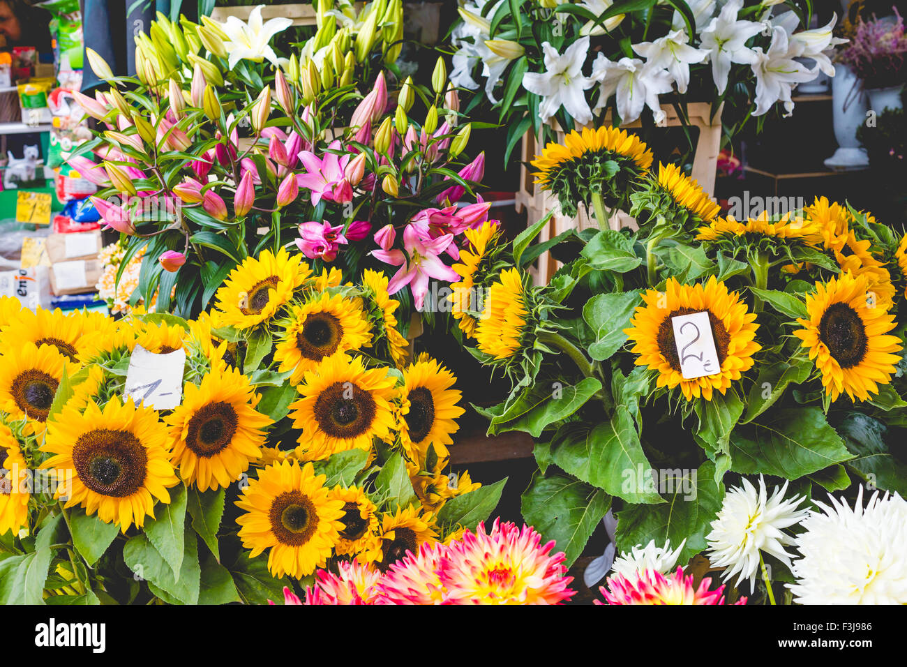Midsummer celebration latvia hi-res stock photography and images - Alamy