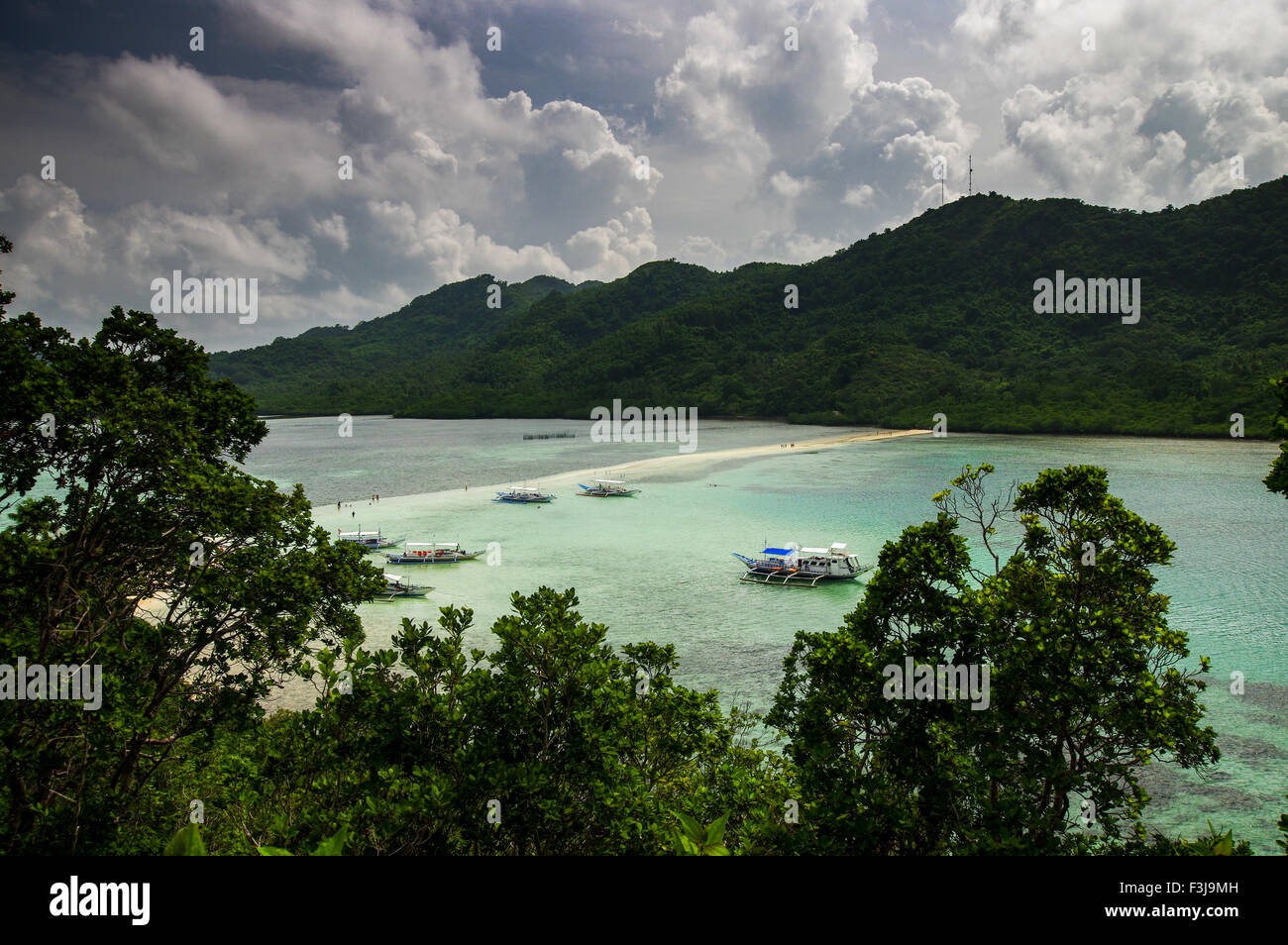 Snake Island (also known as Vigan Island) - Palawan, Philippines Stock ...