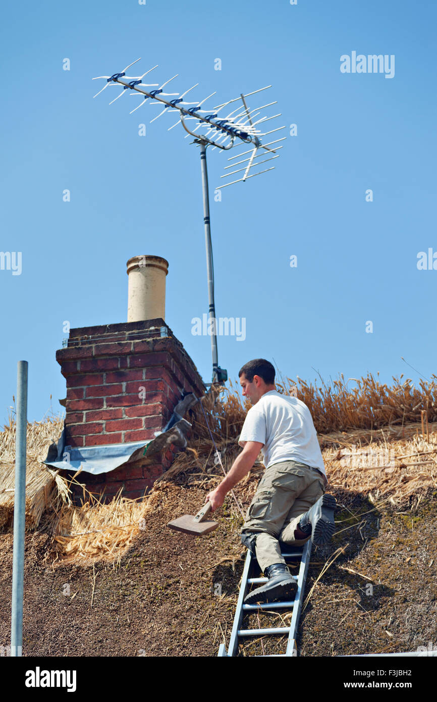 Man thatching a roof using a leggett Stock Photo - Alamy