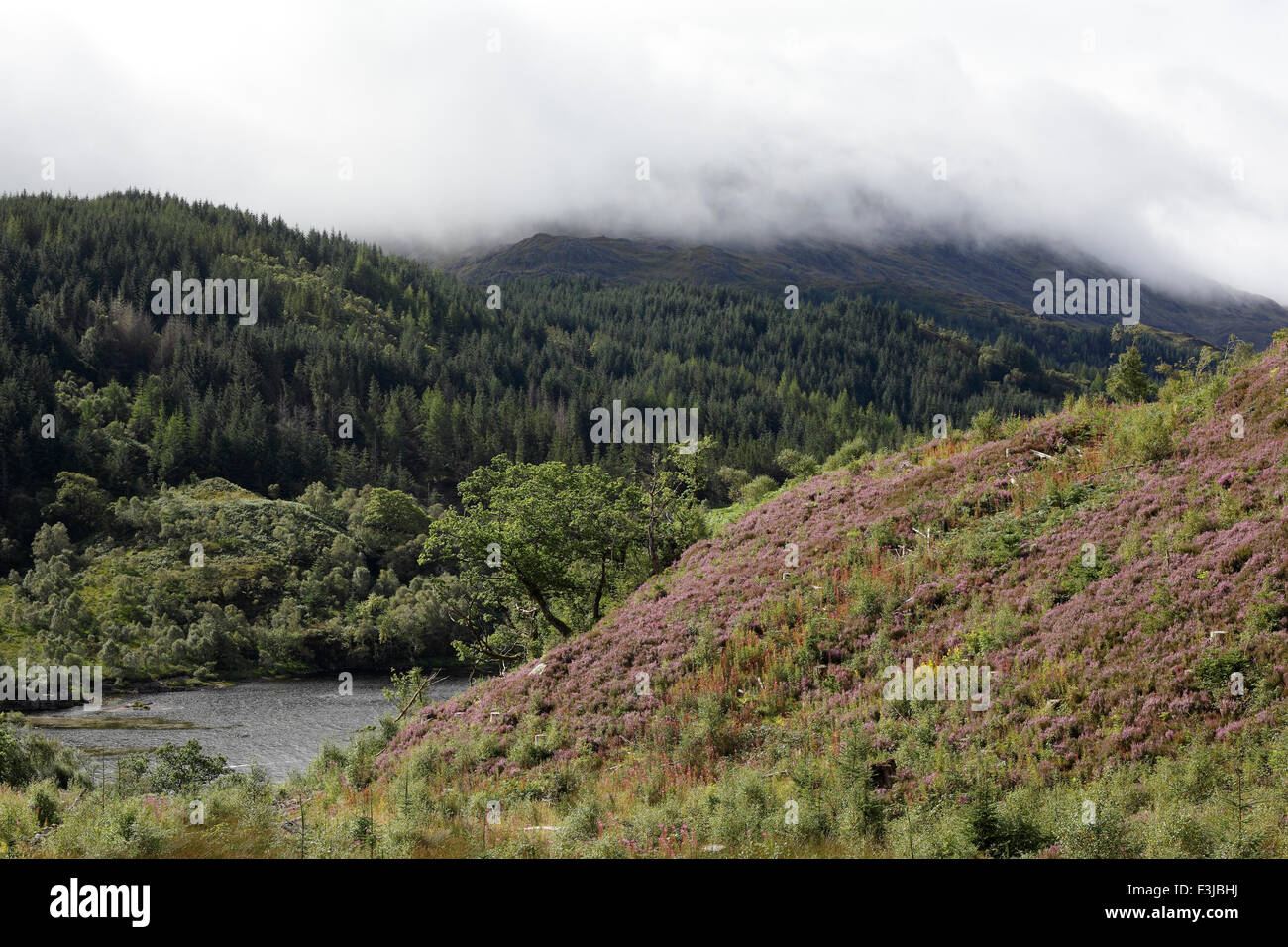 Ardnamurchan, Scotland, September 2015 Stock Photo - Alamy