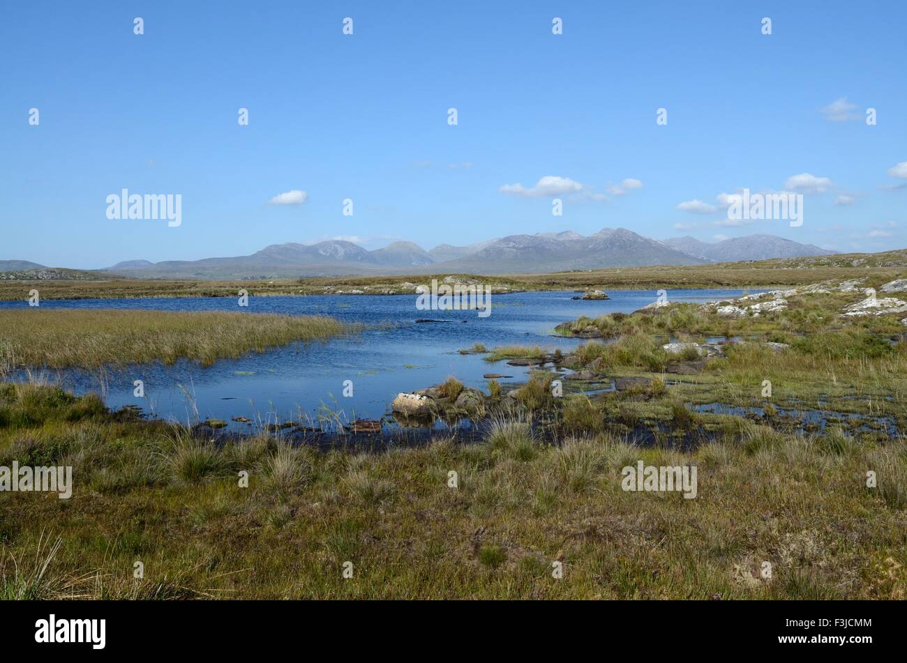 Roundstone bog connemara hi-res stock photography and images - Alamy