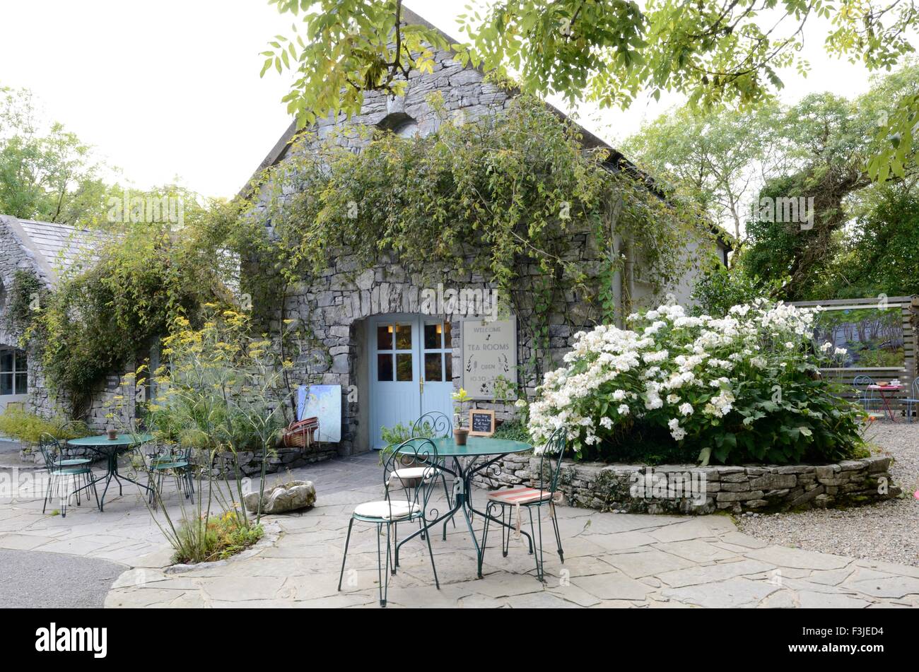 Burren perfumery hi-res stock photography and images - Alamy