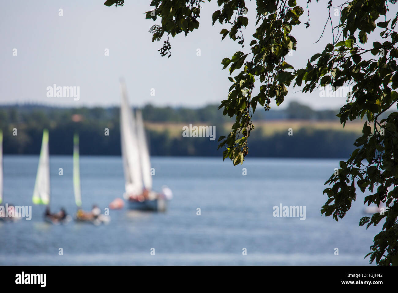 Yacht in the background,Goldopiwo lake, Masuria, Poland Stock Photo - Alamy