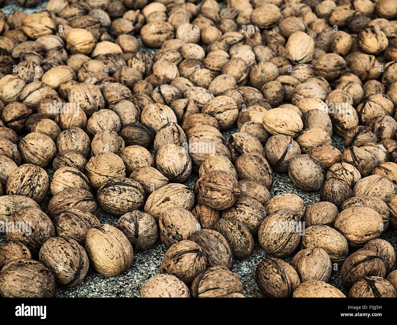 Walnut heap hi-res stock photography and images - Alamy
