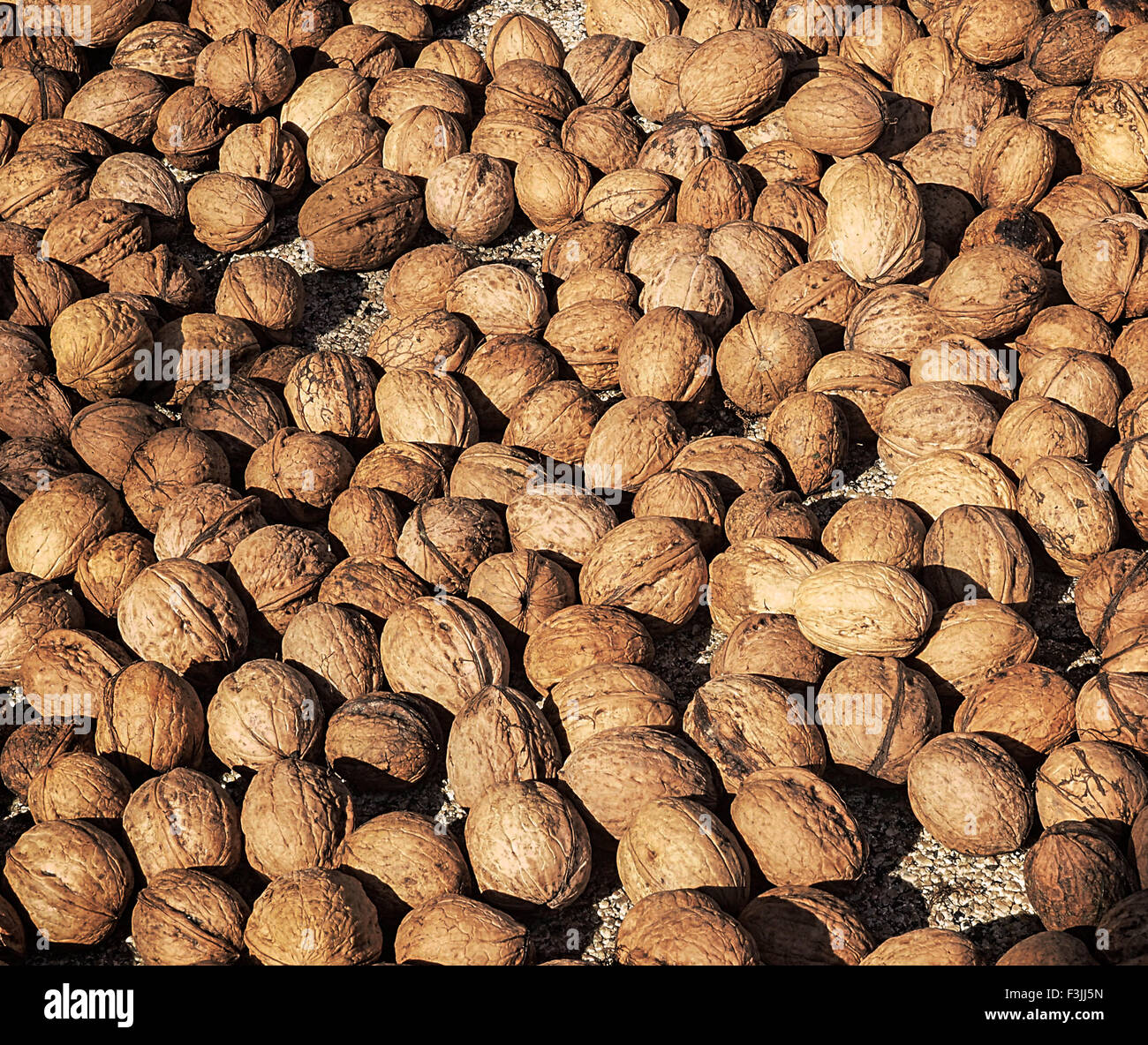 Walnut heap hi-res stock photography and images - Alamy