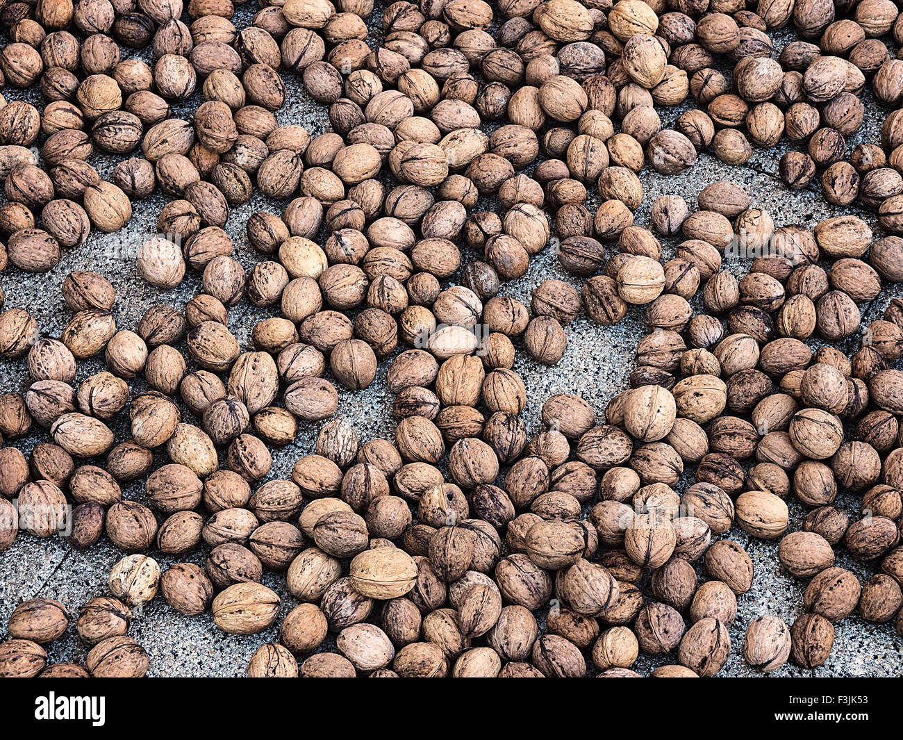 Pile of walnuts Stock Photo - Alamy