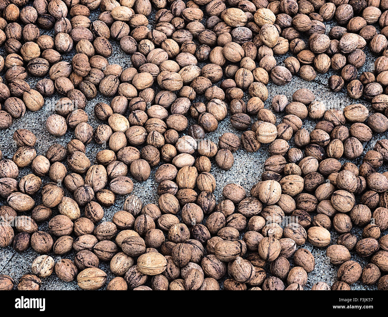 Walnut heap hi-res stock photography and images - Alamy