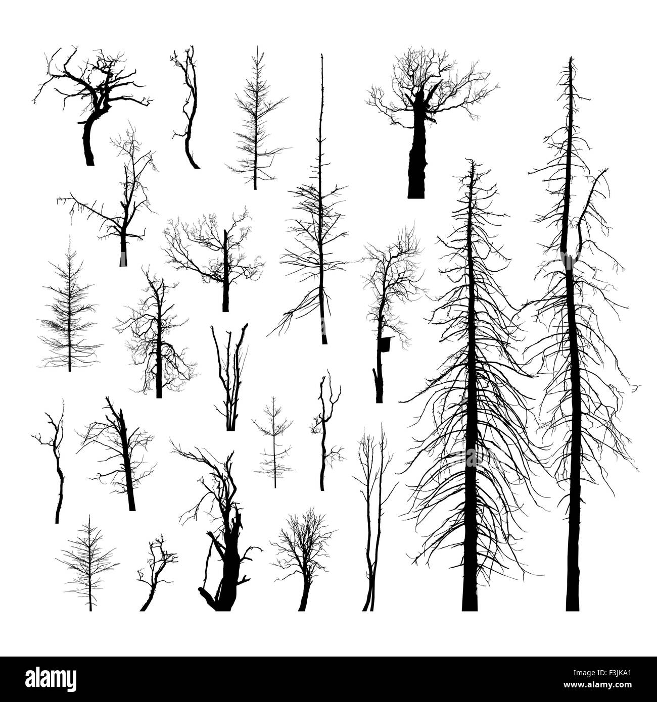 Dead nature Black and White Stock Photos & Images - Alamy