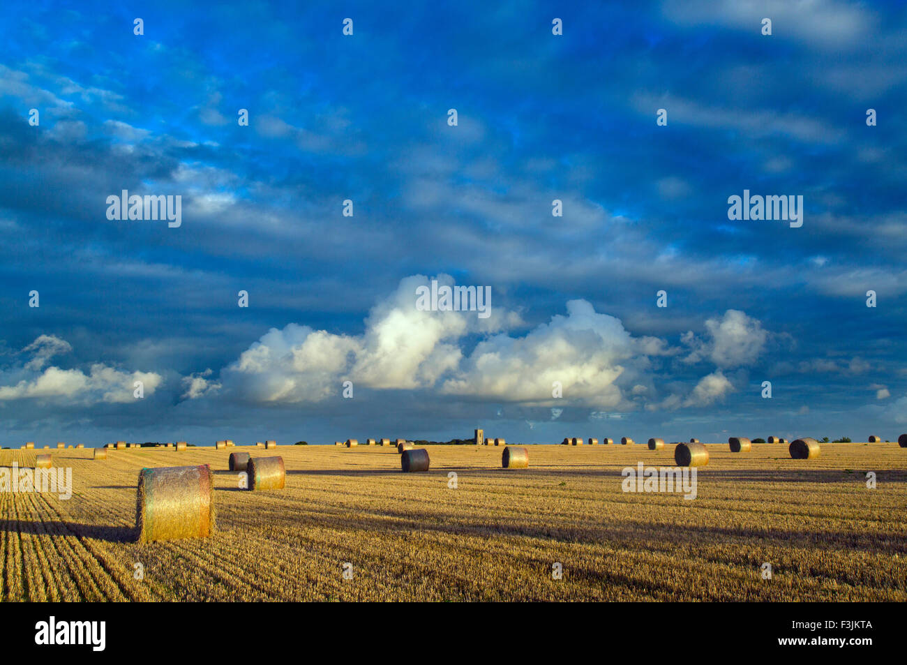 Summer evening light on fields hi-res stock photography and images - Alamy
