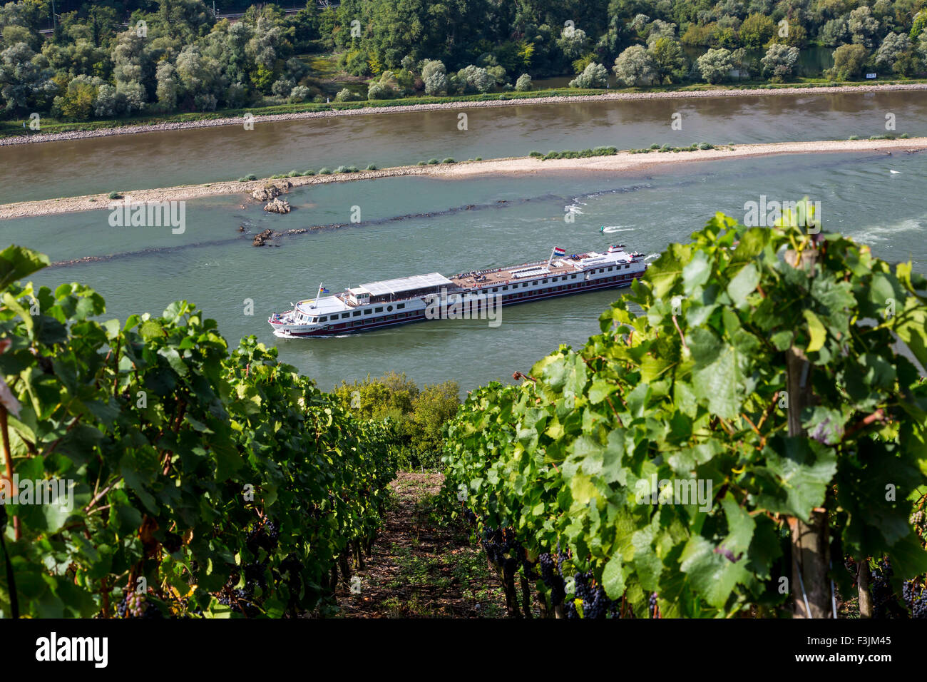 Freight ships on river Rhine, Upper middle Rhine valley, Germany Stock ...