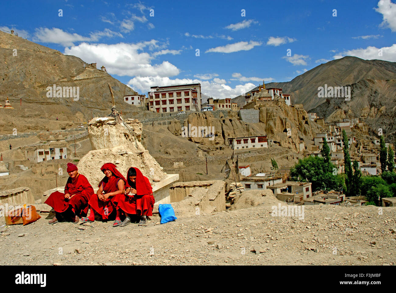 Three lamas hi-res stock photography and images - Alamy