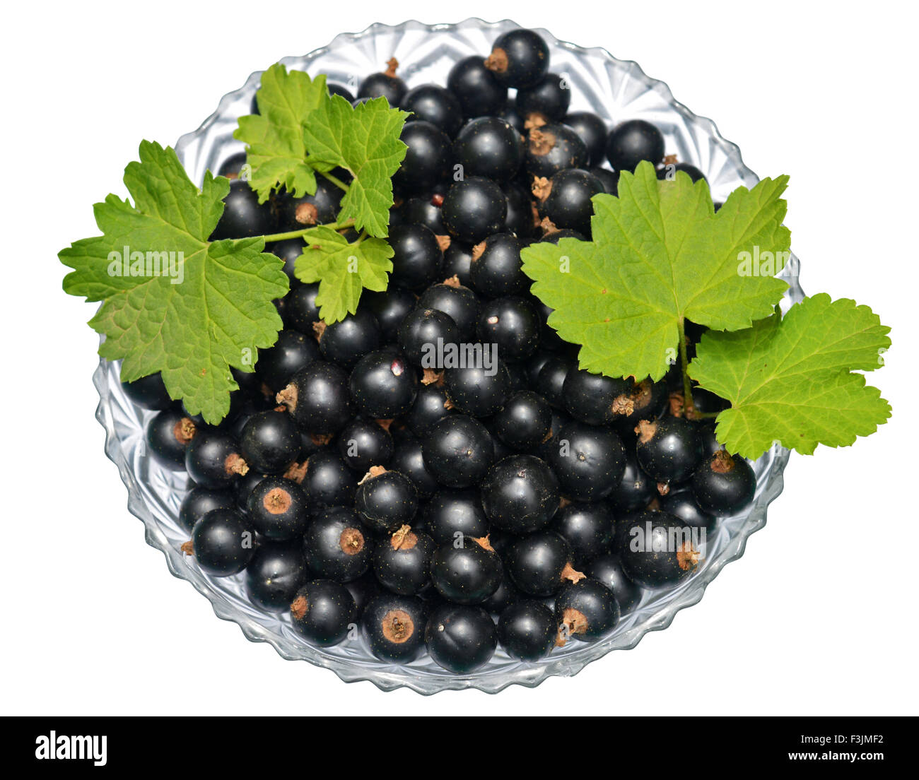 Blackcurrant with leaves in glass bowl Stock Photo - Alamy