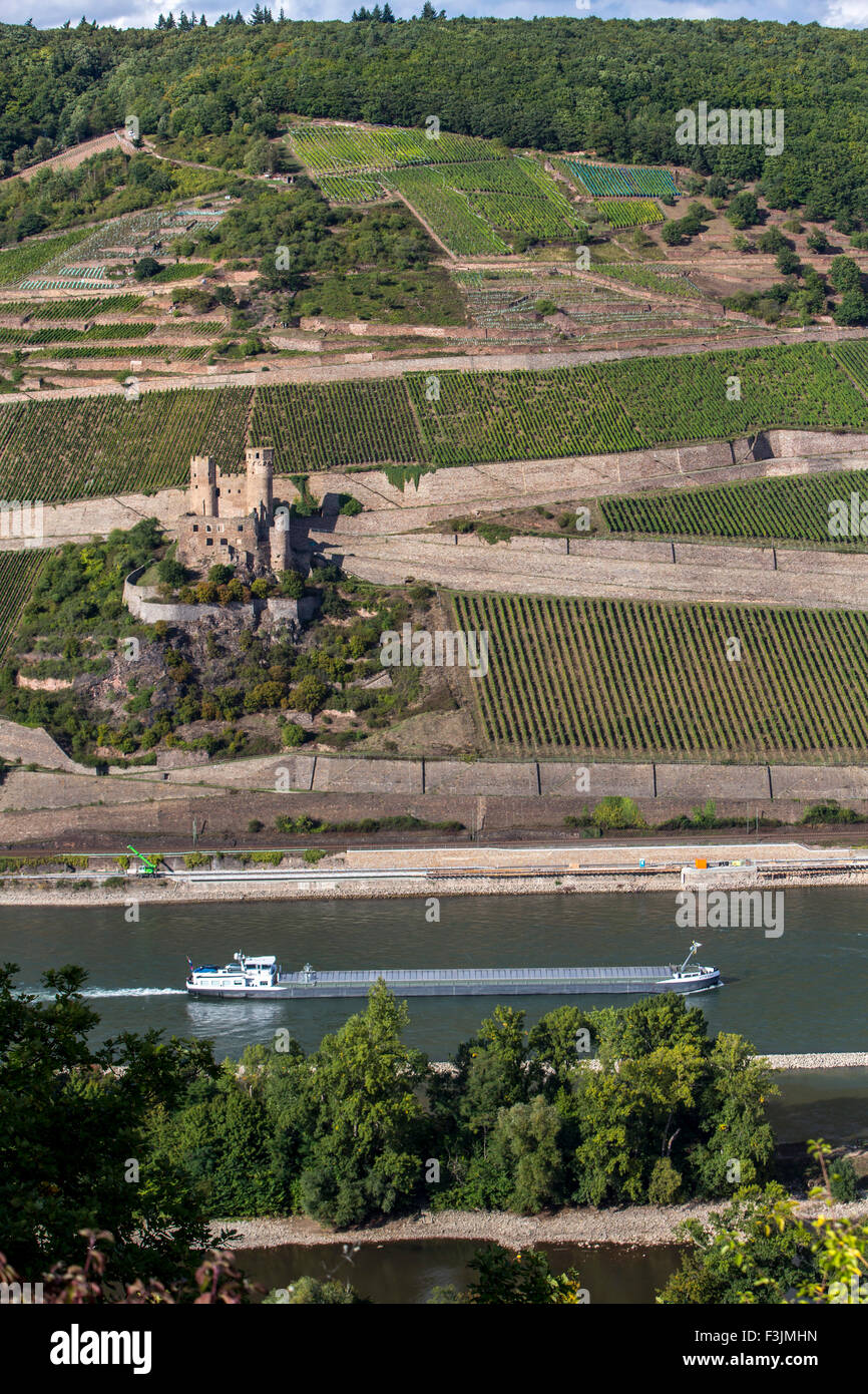 Ruin of Ehrenfels Castle in the vineyards of Rüdesheim, Upper Middle ...