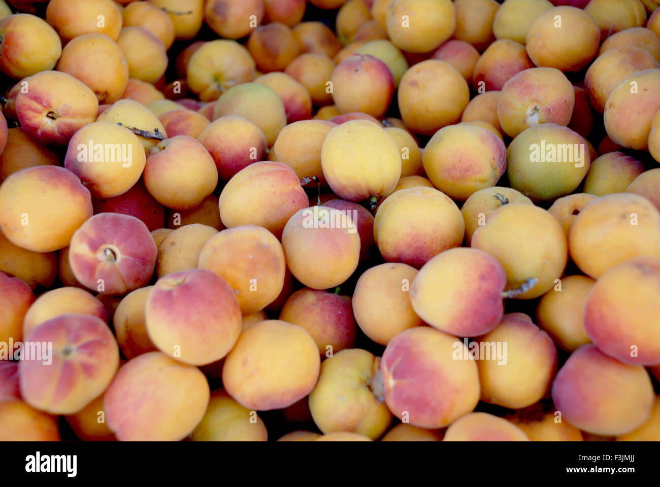 Apricots at main market at Leh ; Ladakh ; Jammu & Kashmir ; India Stock ...
