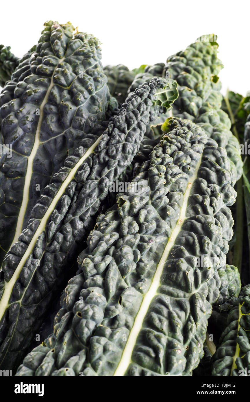 Black Kale, Italian Kale, Black Cabbage, Cavolo nero isolated on white ...