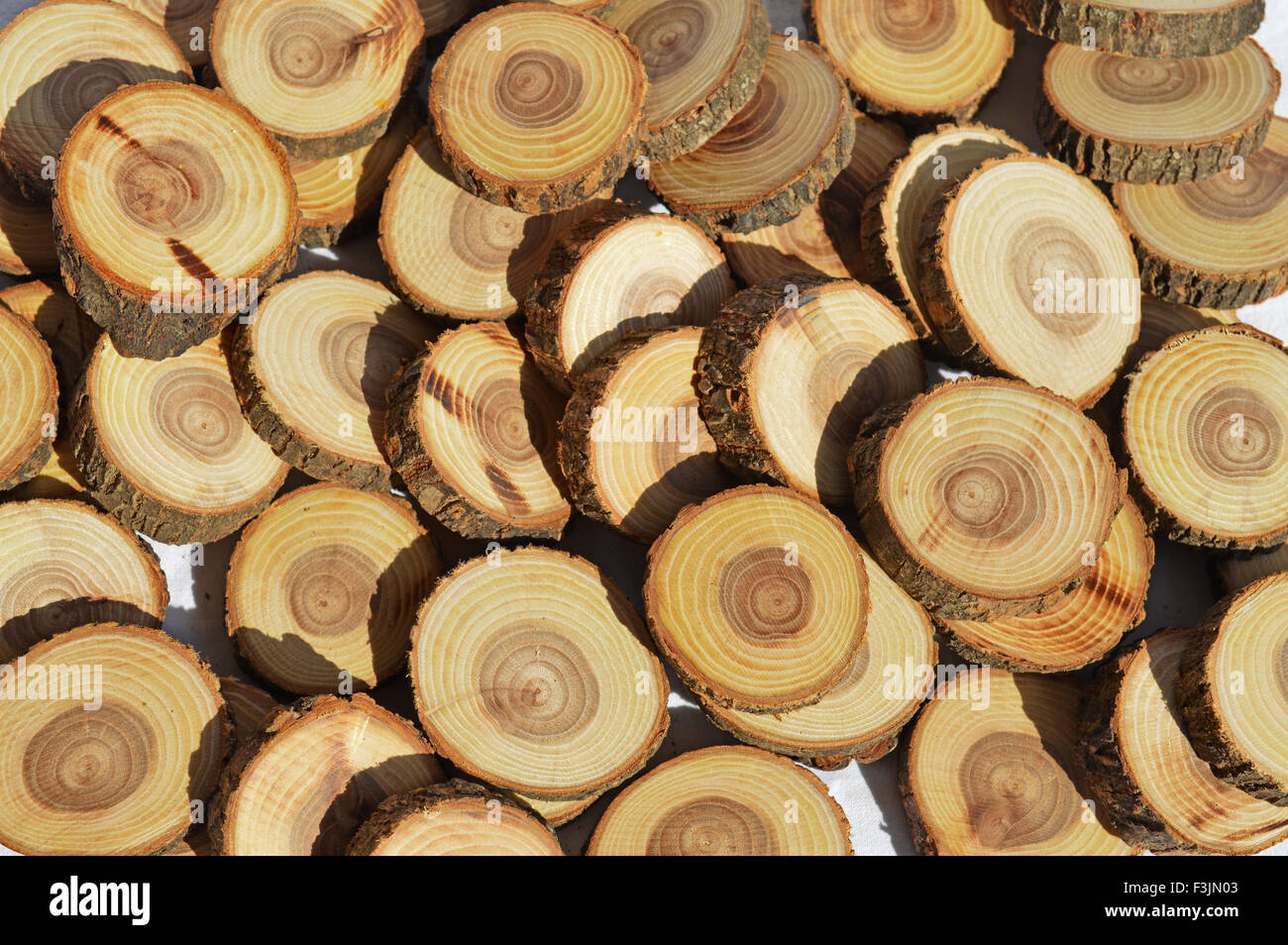 Tree slices hi-res stock photography and images - Alamy