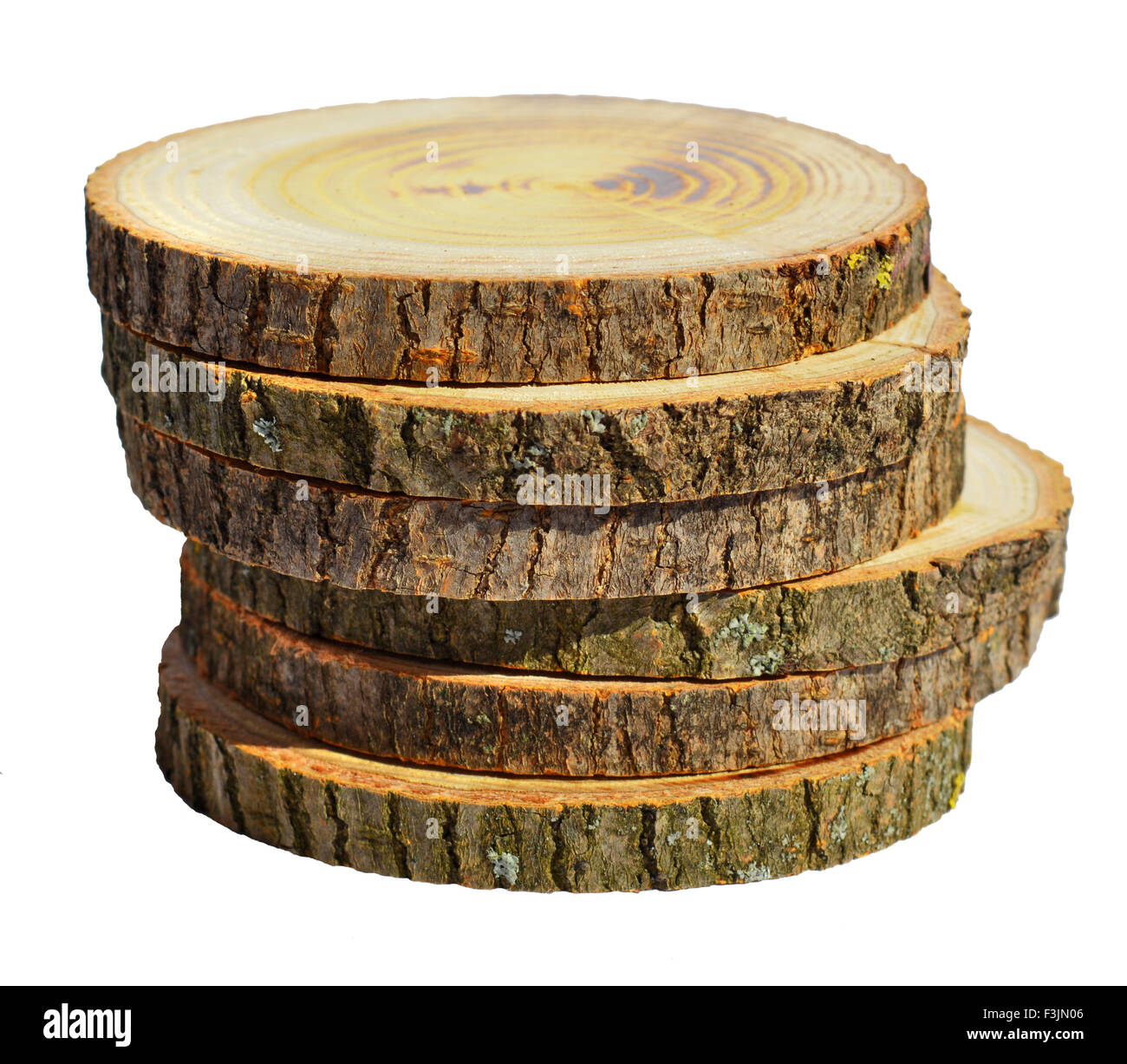 Tree barks hi-res stock photography and images - Alamy