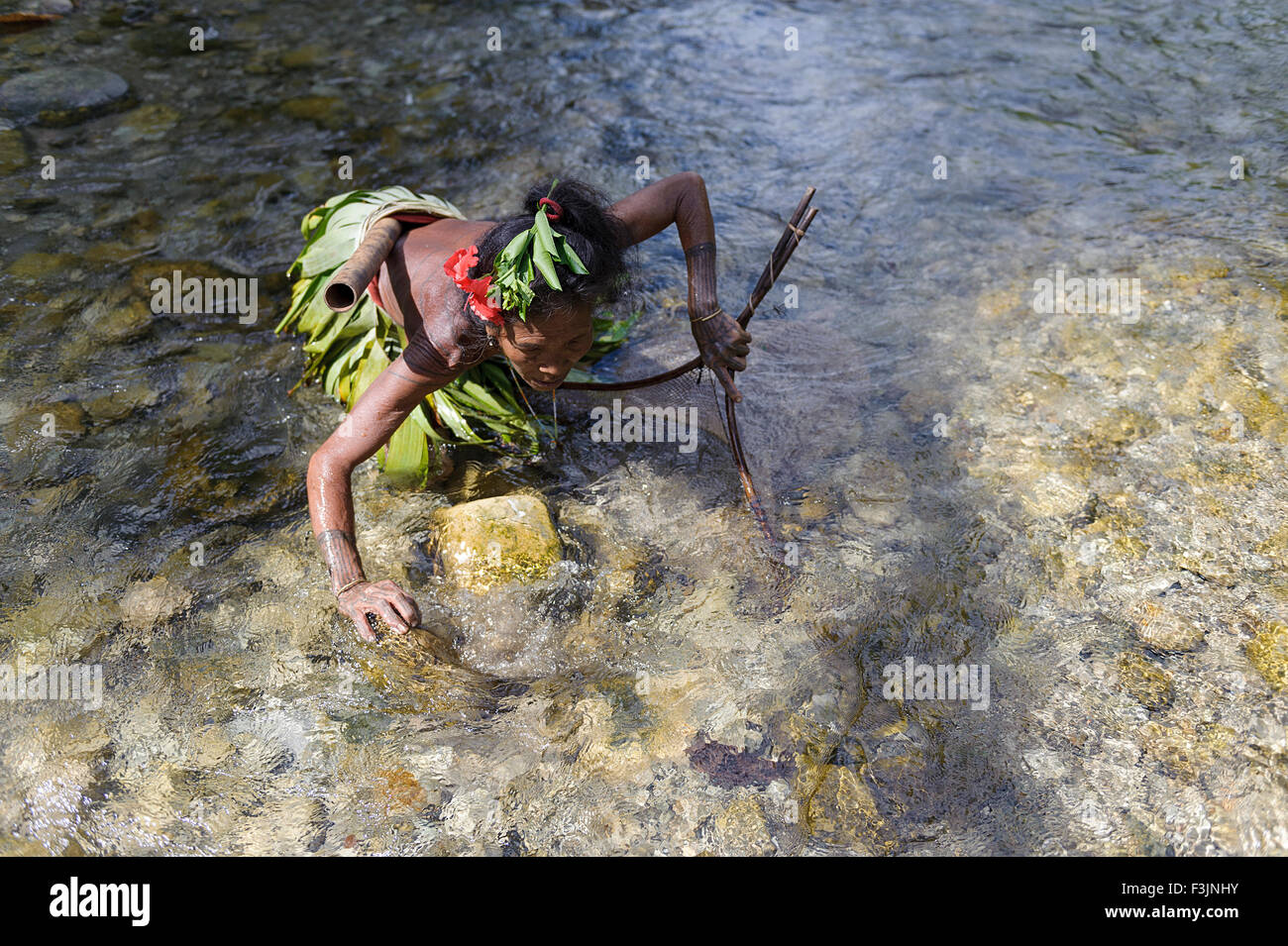 Unidentified women of Mentawai catching a fish using a net in the river ...