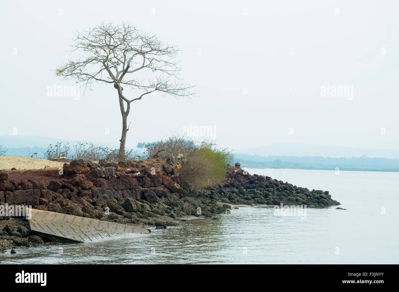 View of beach from Terekhol fort ; Vengurla ; Sindhudurgh ; Maharashtra ...