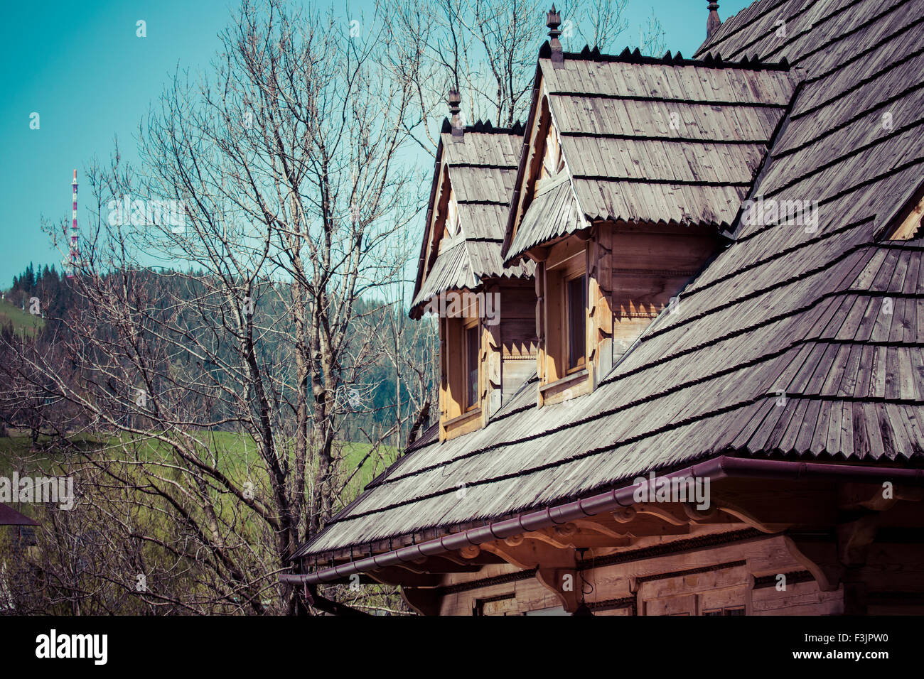 Traditional polish wooden hut from Zakopane, Poland Stock Photo - Alamy