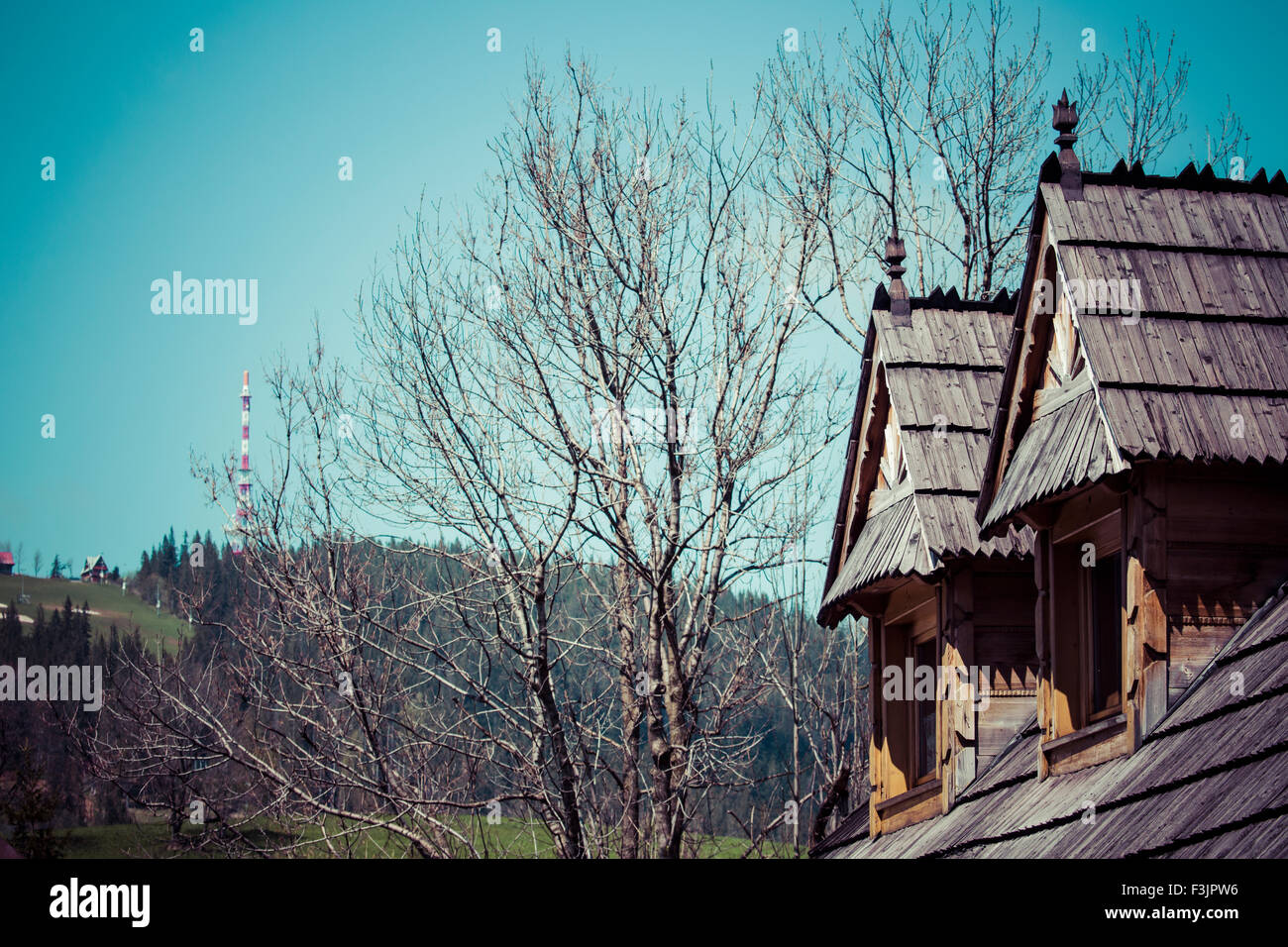 Traditional polish wooden hut from Zakopane, Poland Stock Photo - Alamy