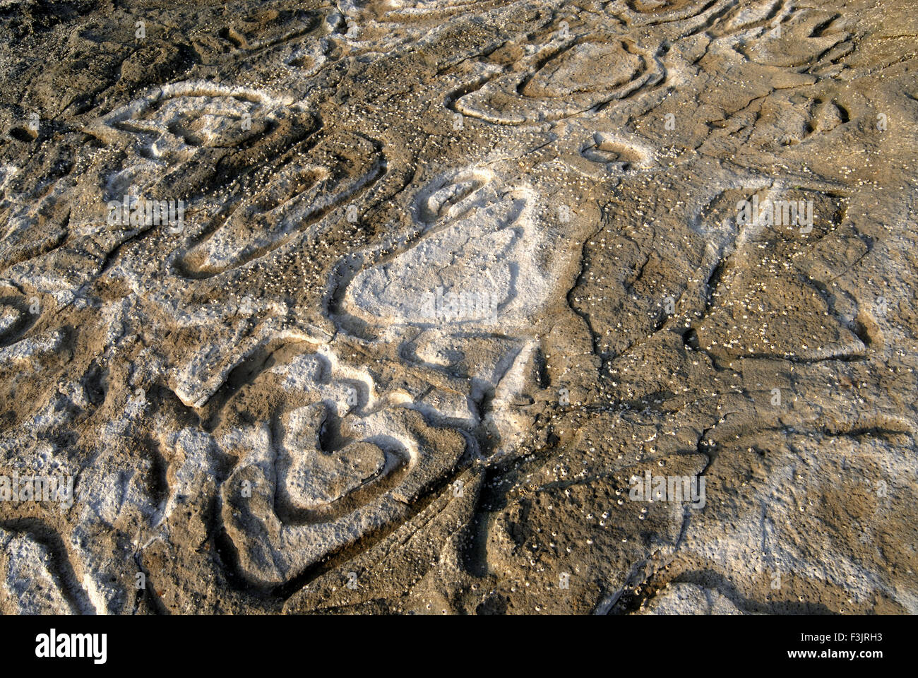 sea waves erosion igneous rocks lava volcano corals Harihareshwar Beach ...