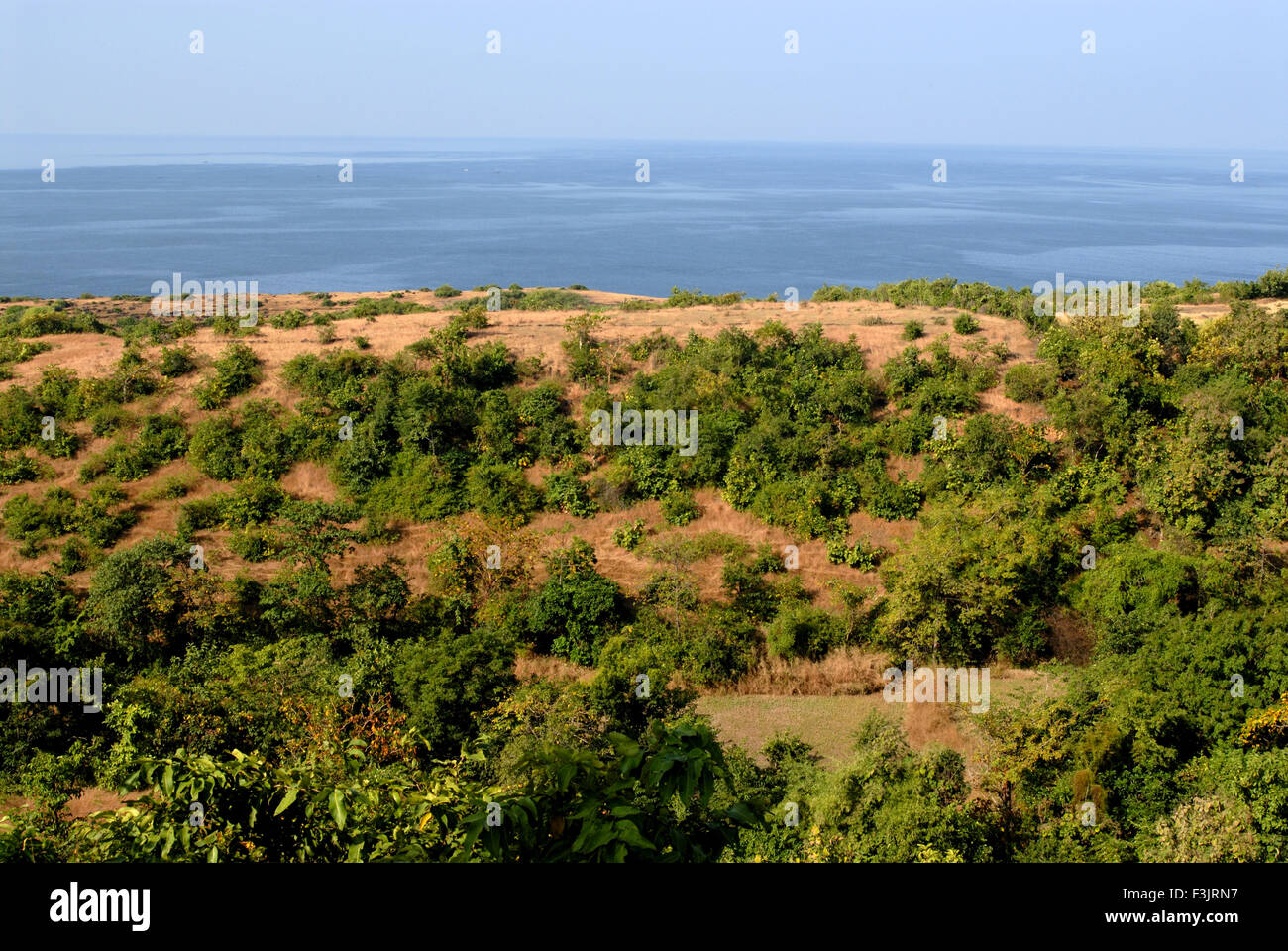 Beautiful beach with dense greenery near Shrivardhan Konkan coast ...