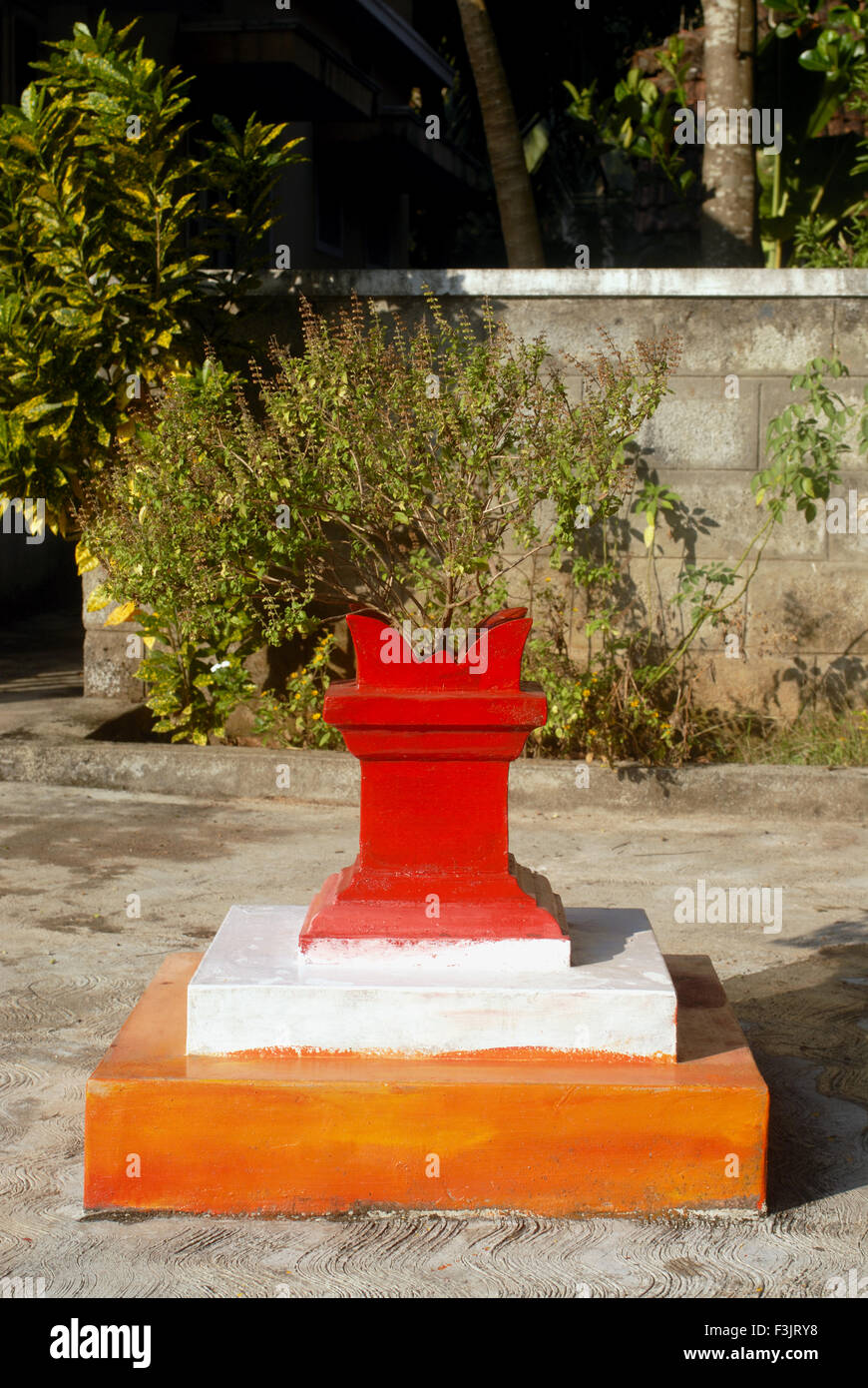 Tulsi Vrindavan holy Basil plant altar front house Udupi Karnataka ...