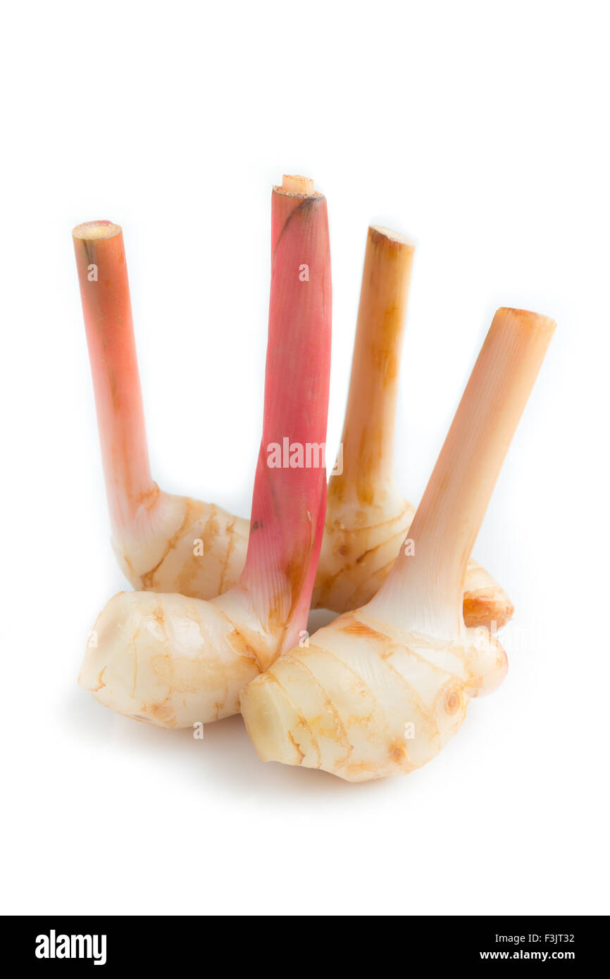 Fresh galangal root isolated on white background Stock Photo - Alamy