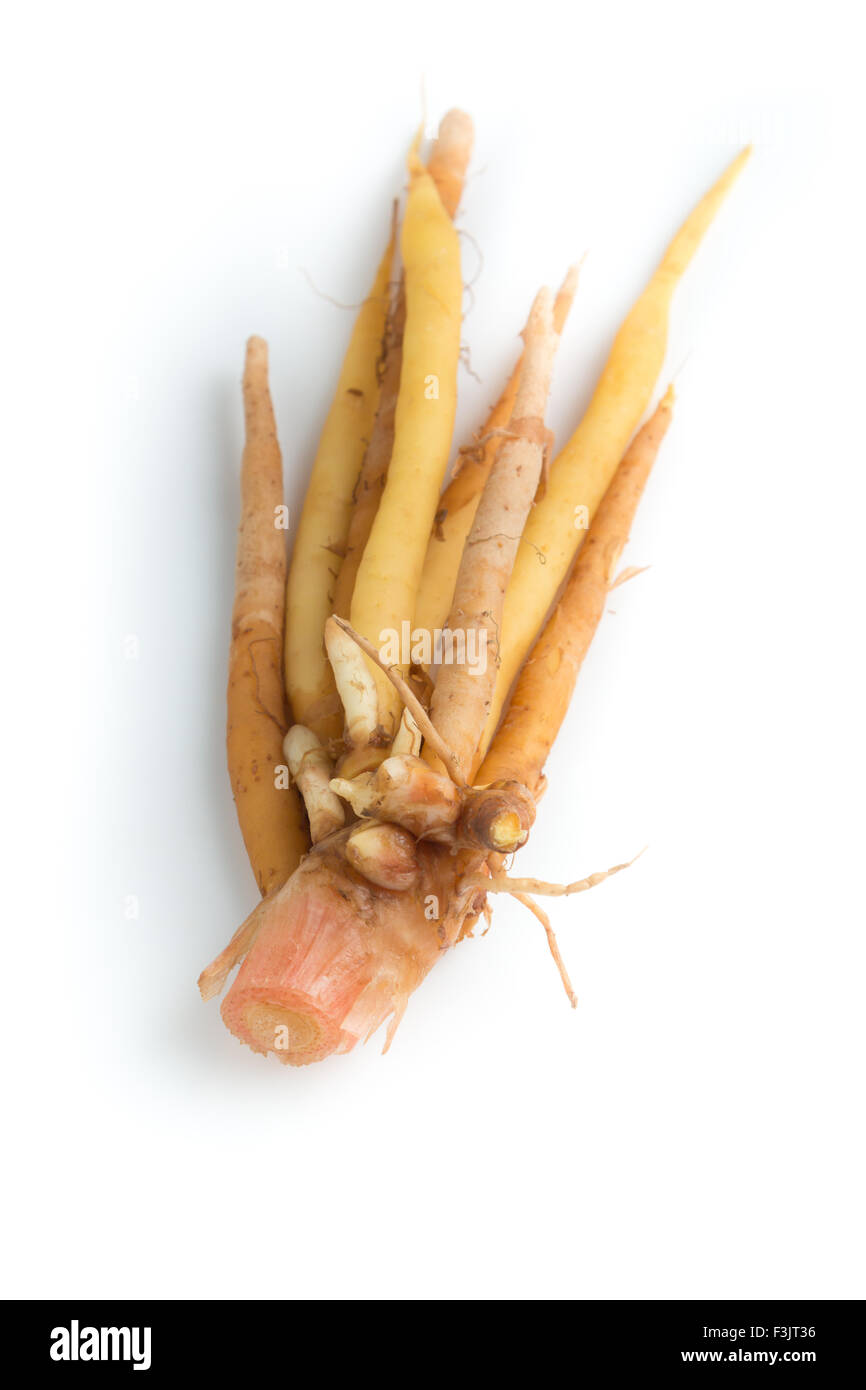 Fingerroot isolated on white background Stock Photo - Alamy