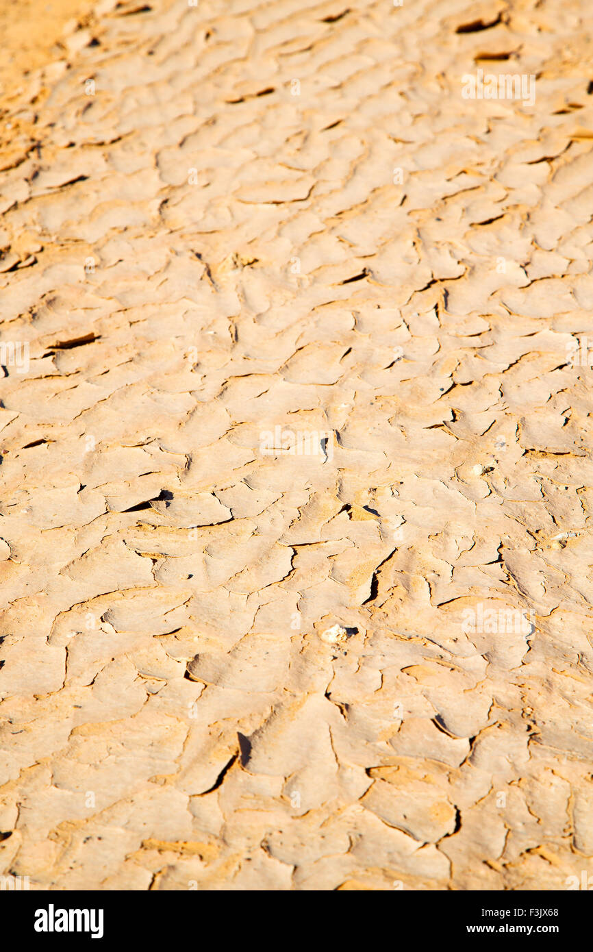 brown dry sand in sahara desert morocco africa erosion and abstract ...