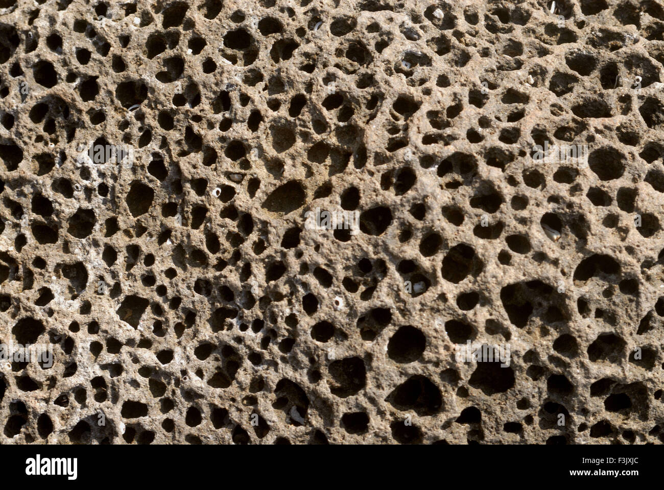 sea erosion igneous rock at Harihareshwar Konkan Region Raigad ...