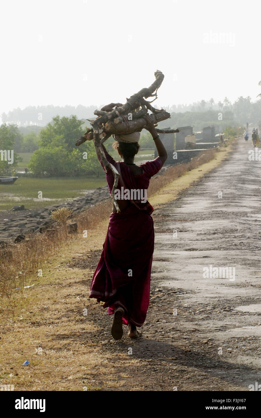 Woman carrying heavy wooden log her head silhouette wood fuel cooking ...