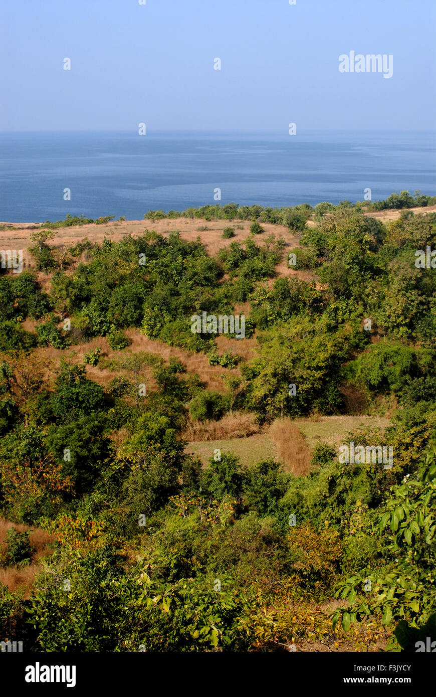 Beautiful beach with dense greenery near Shrivardhan Konkan coast ...