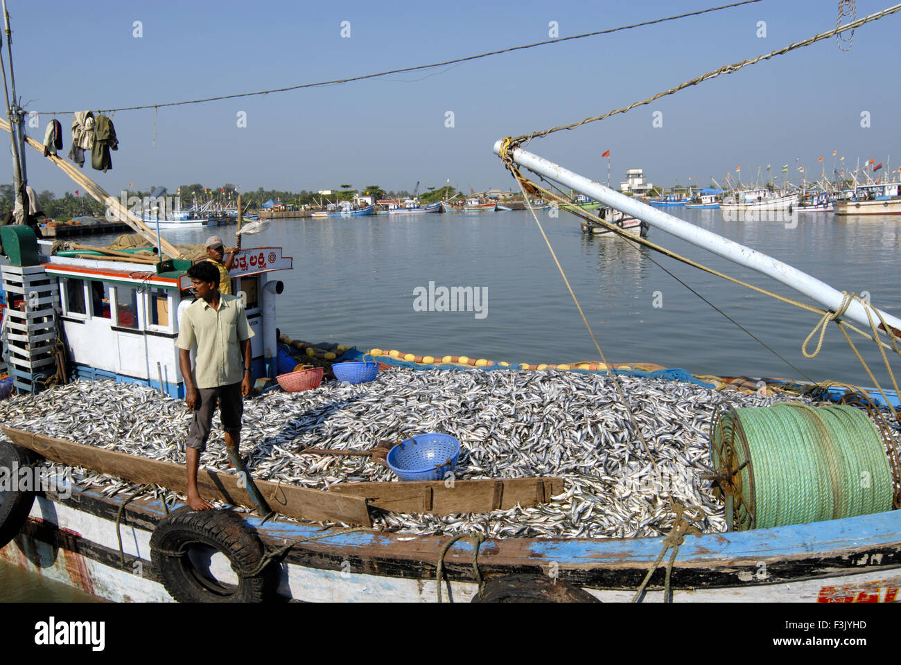 Fishing Boat With Fish