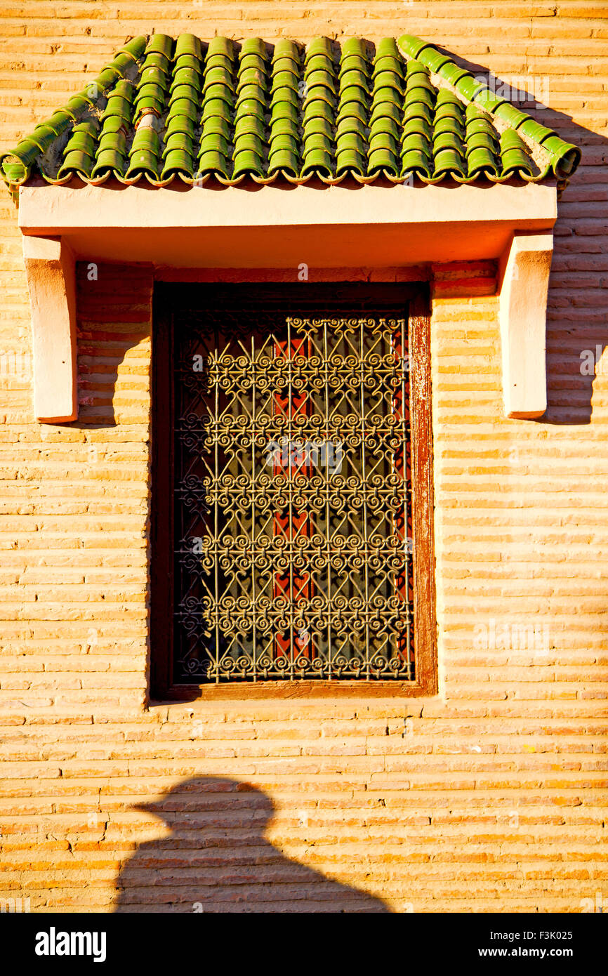 window in morocco africa and old construction wal brick historical ...