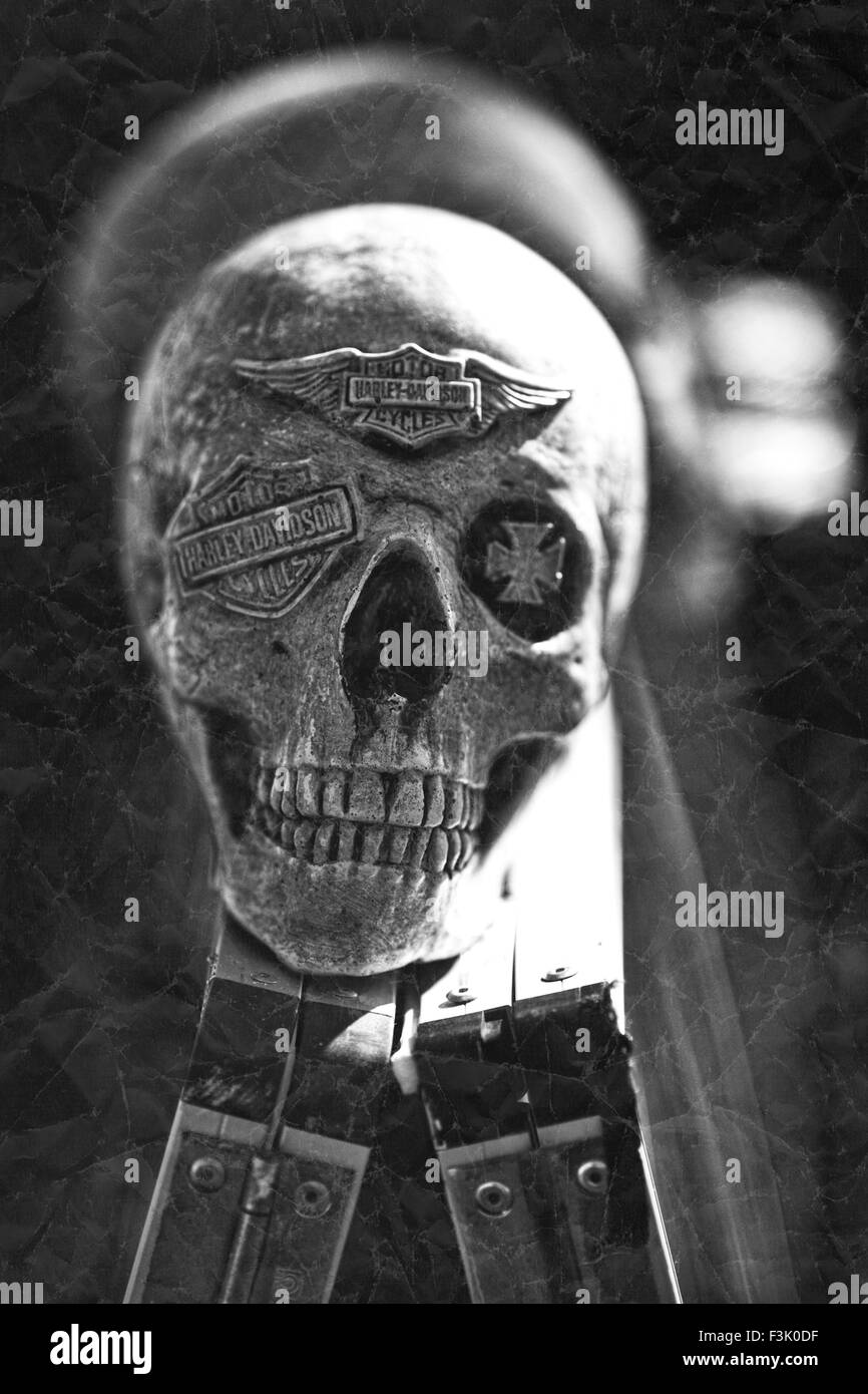 Logo patch Black and White Stock Photos & Images - Alamy