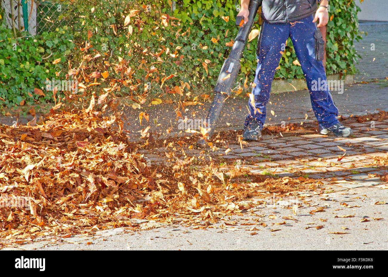 Leaf Blower Stock Photos & Leaf Blower Stock Images - Alamy