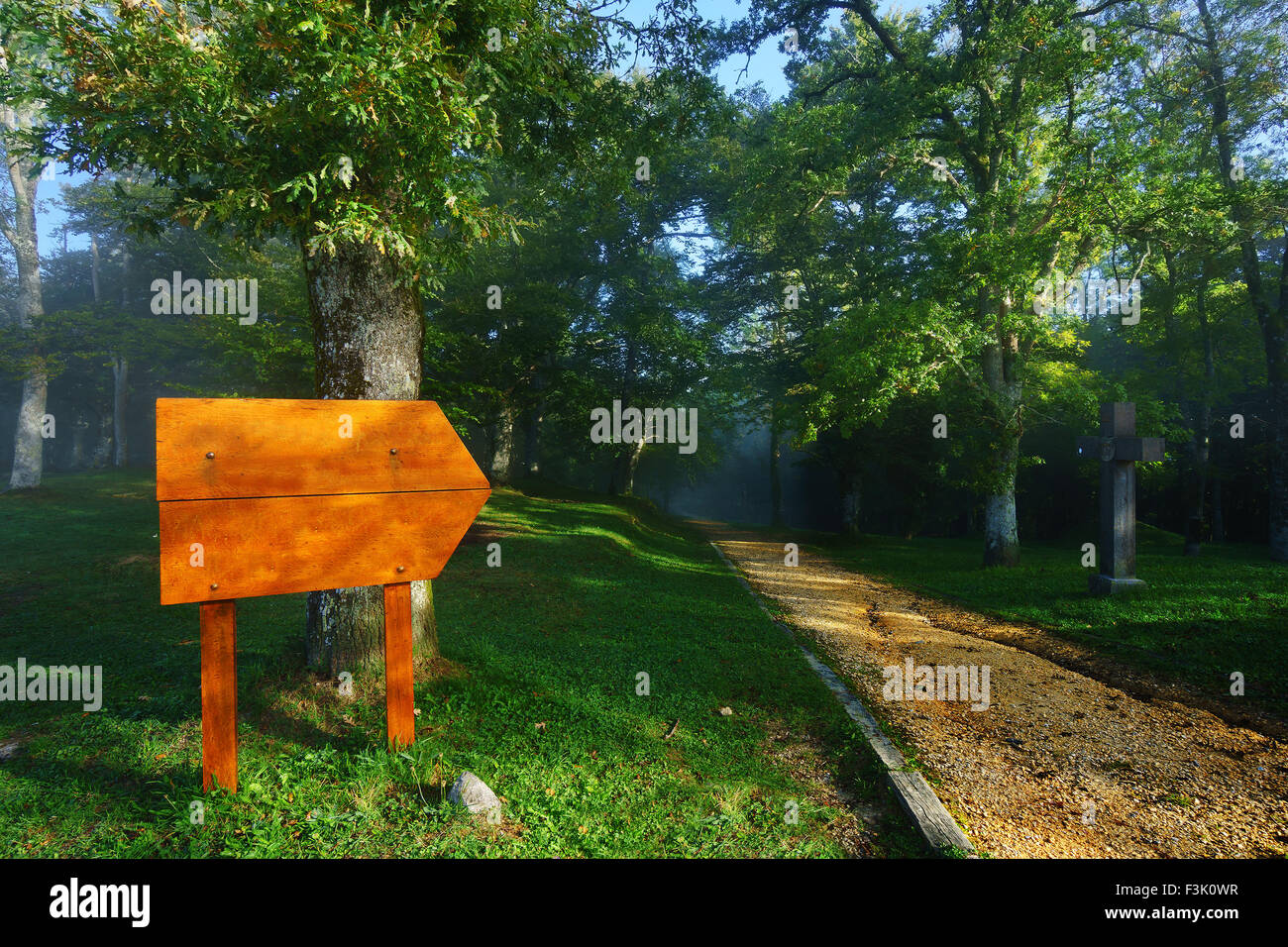 Sign board forest hi-res stock photography and images - Alamy