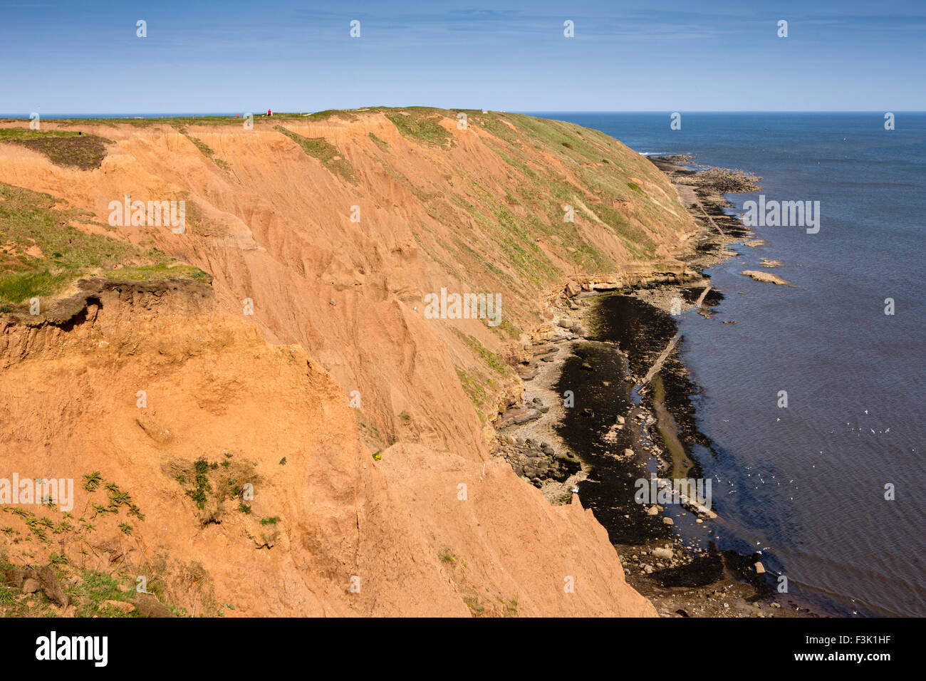 UK, England, Yorkshire East Riding, Filey Brigg and Carr Naze ...
