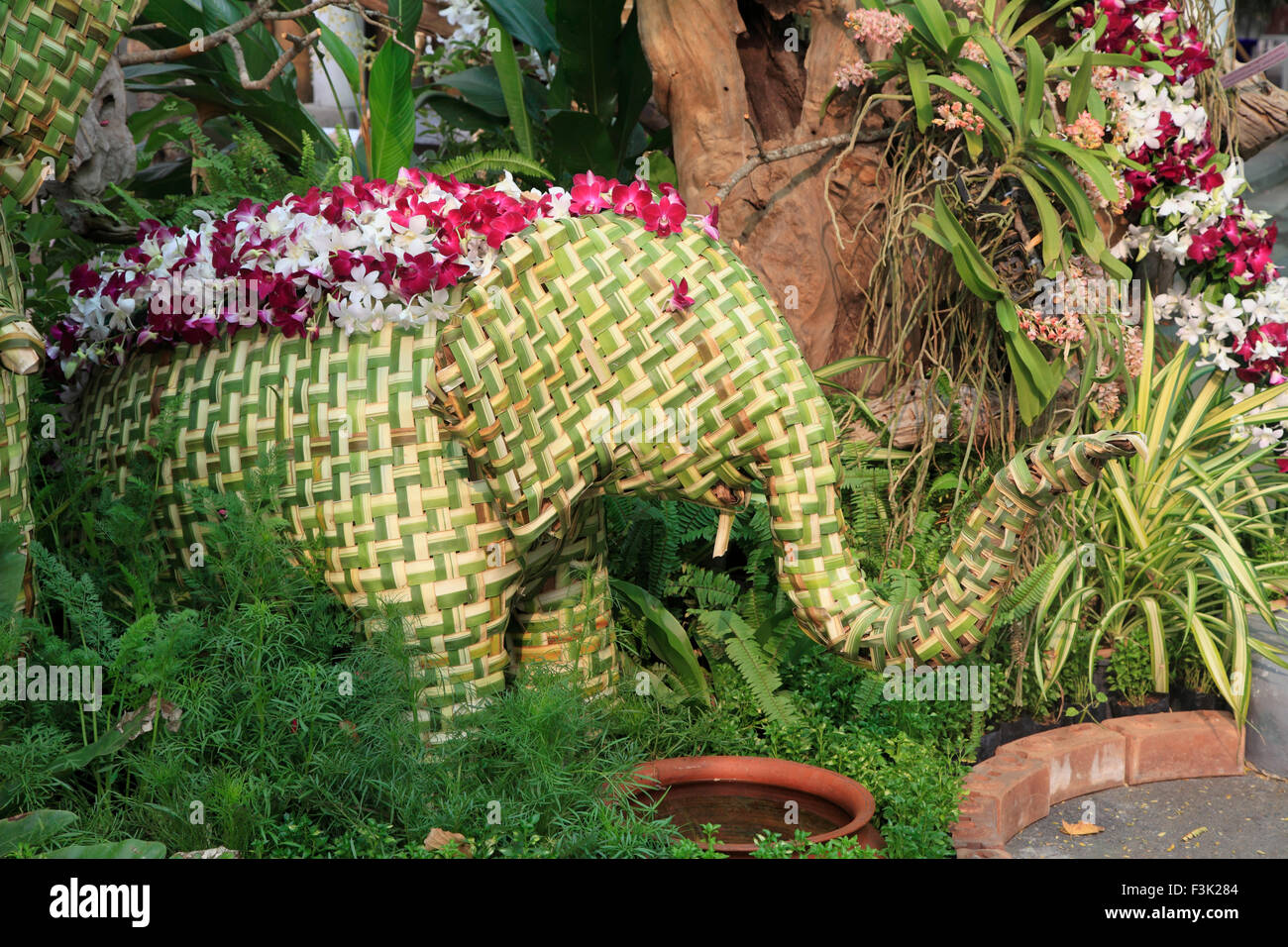 Thailand, Bangkok, orchid market, flowers Stock Photo - Alamy
