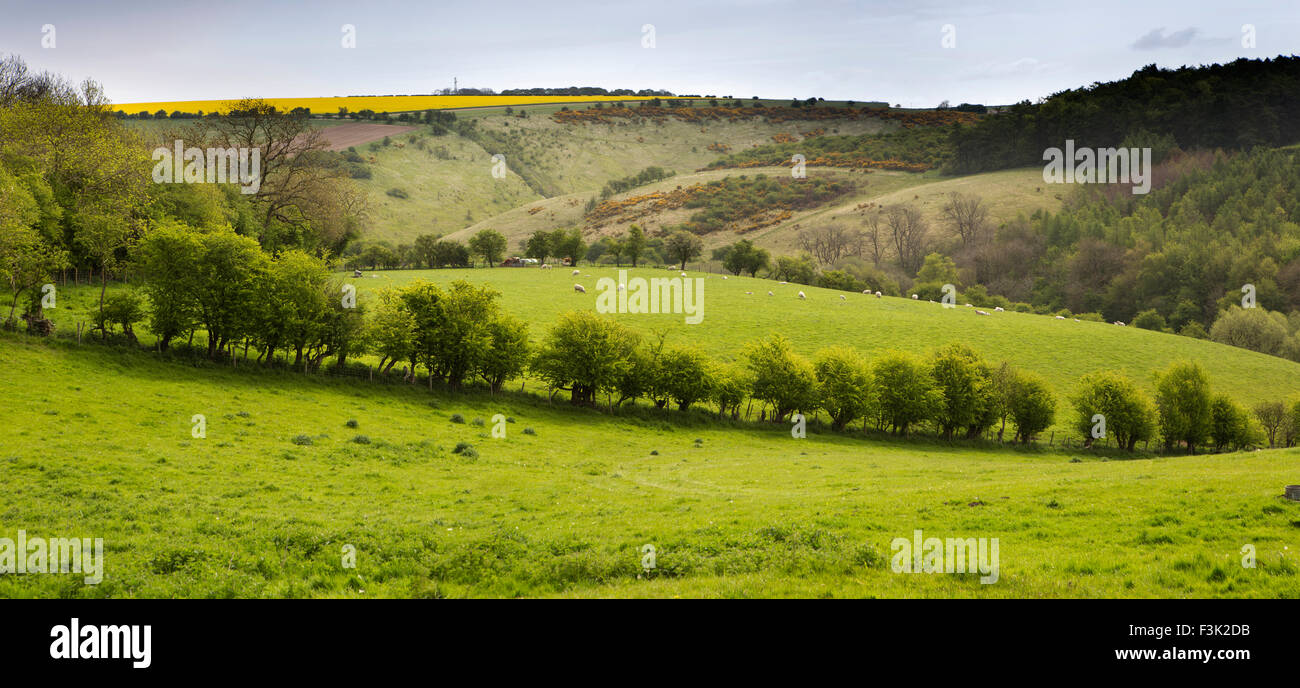 Millington High Resolution Stock Photography and Images - Alamy
