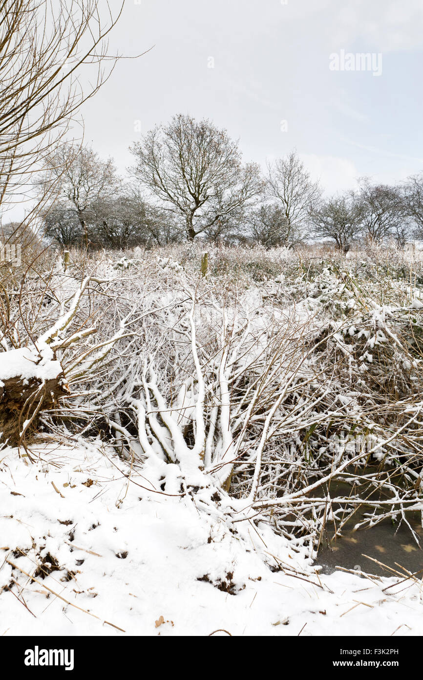 Snow in Norfolk Dyke Stock Photo - Alamy